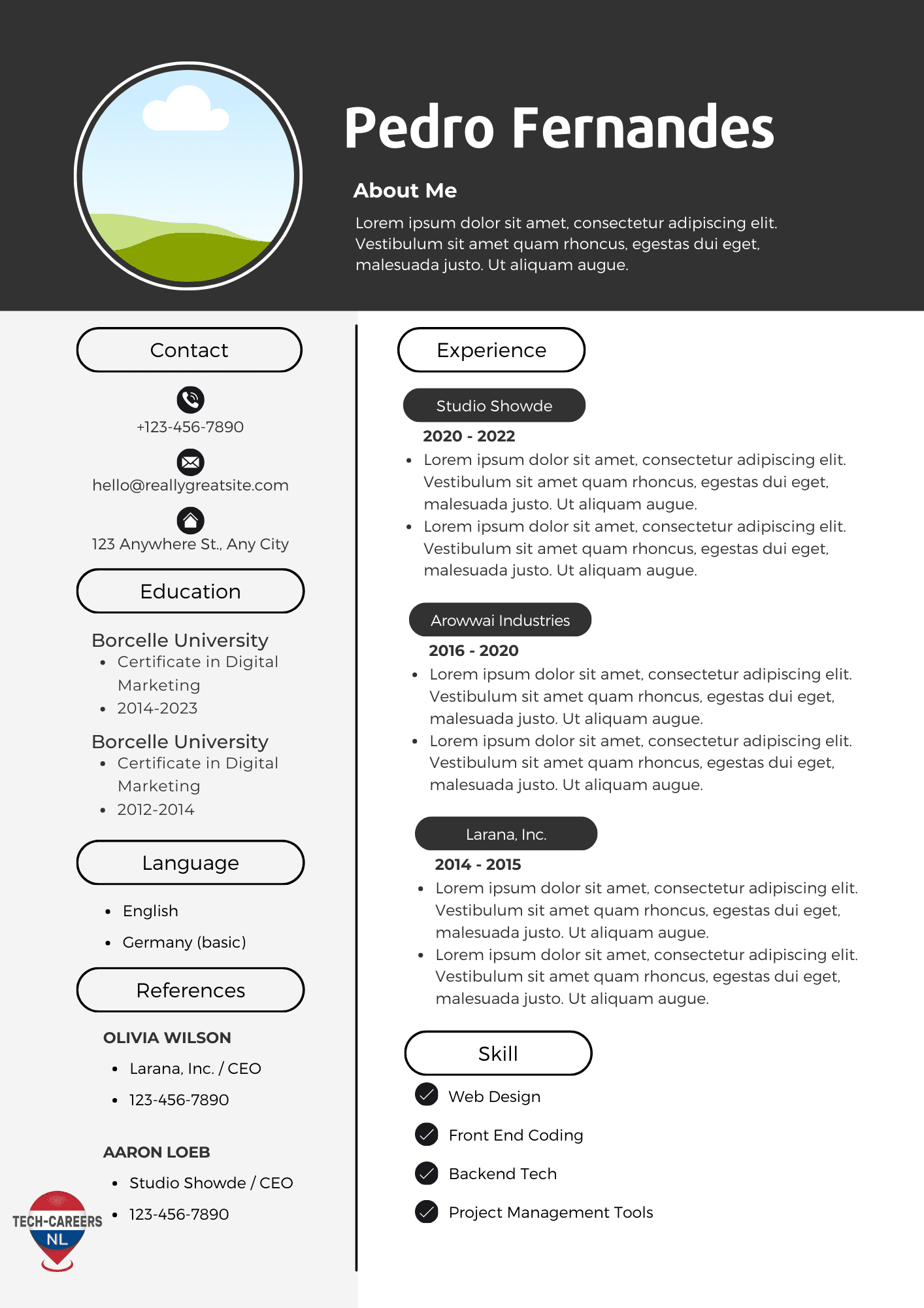 Crafting a Top Tech CV for the Netherlands - Tips & Templates
